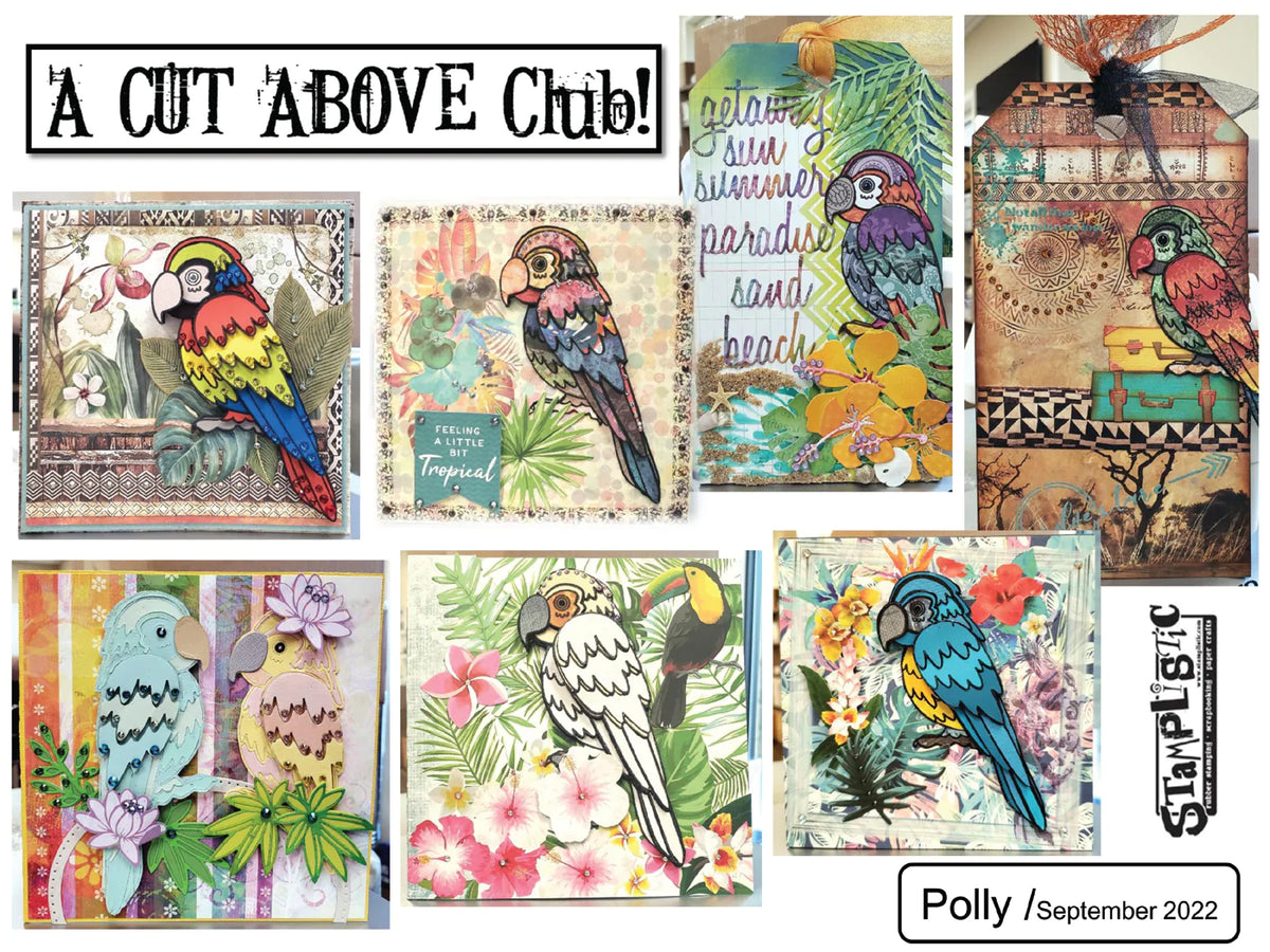 Polly 3-Piece BUNDLE| Stamplistic